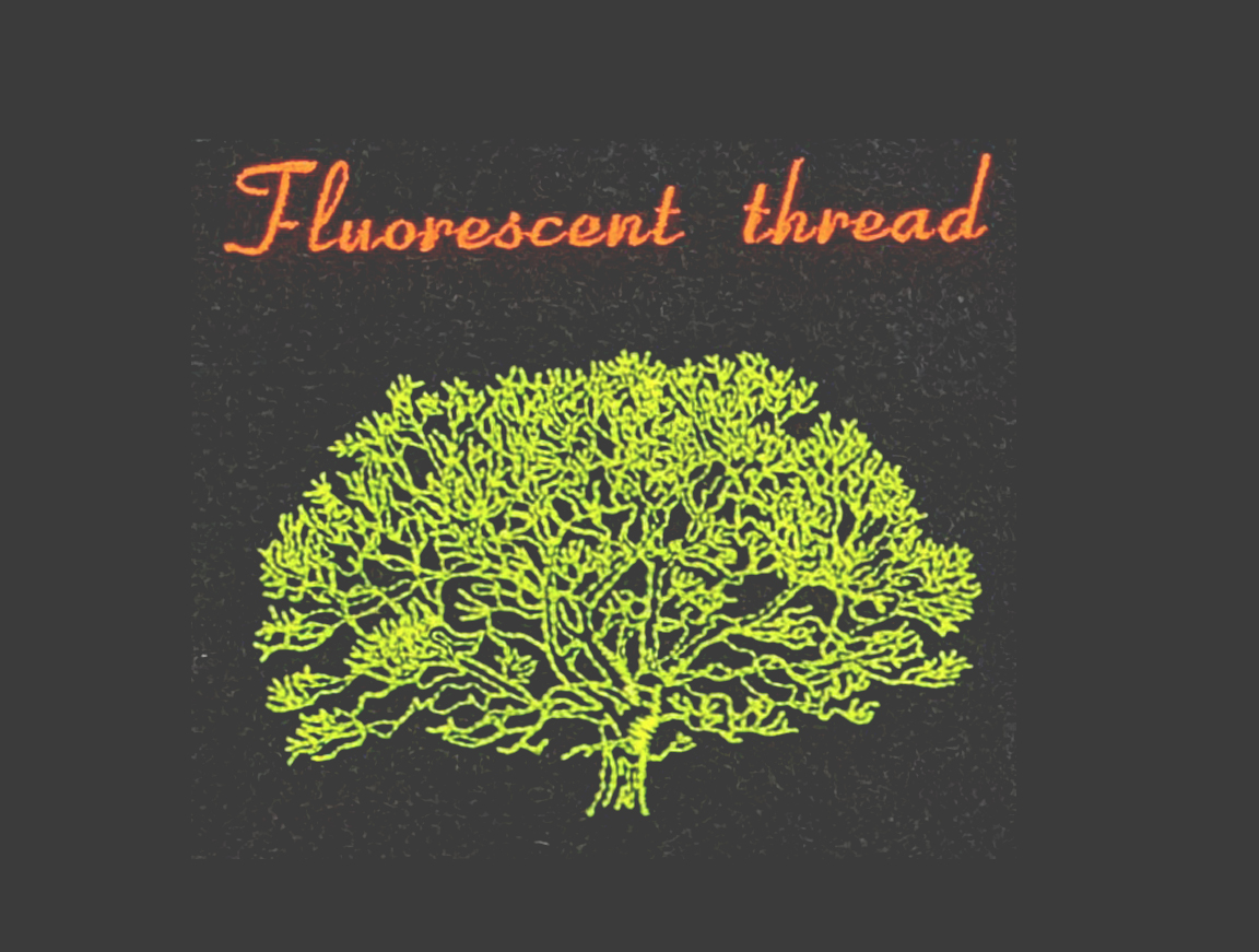 Fluorescent Embroidery - EMB3